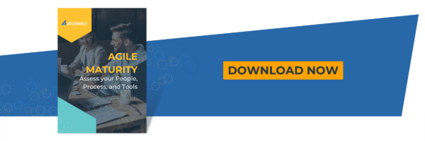 Ascendle: Custom Software Development